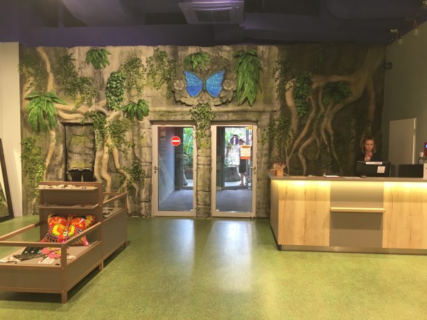 Papilonia Butterfly House, Prague, Czech Republic – The Prague Review