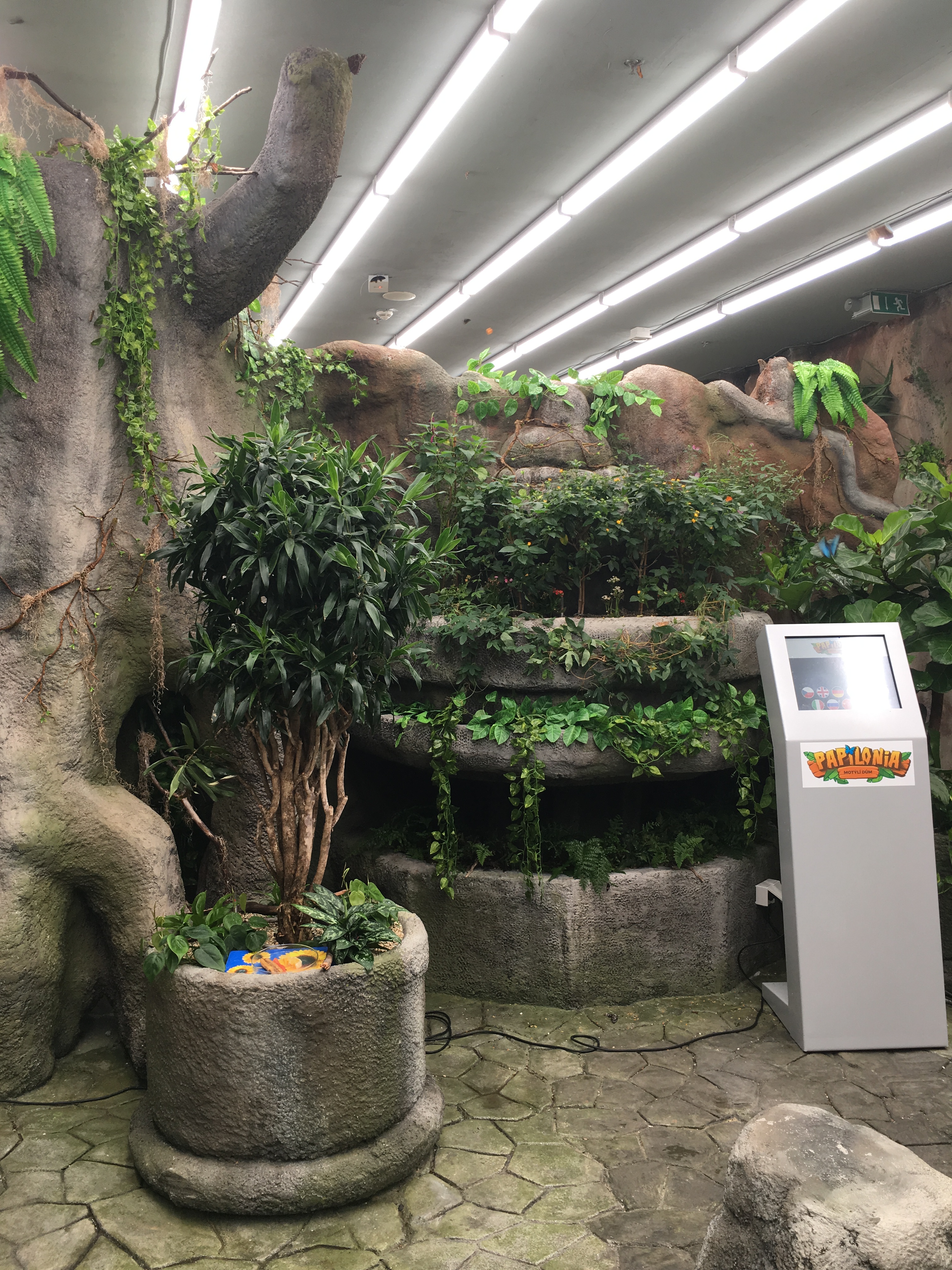 Papilonia Butterfly House, Prague, Czech Republic – The Prague Review