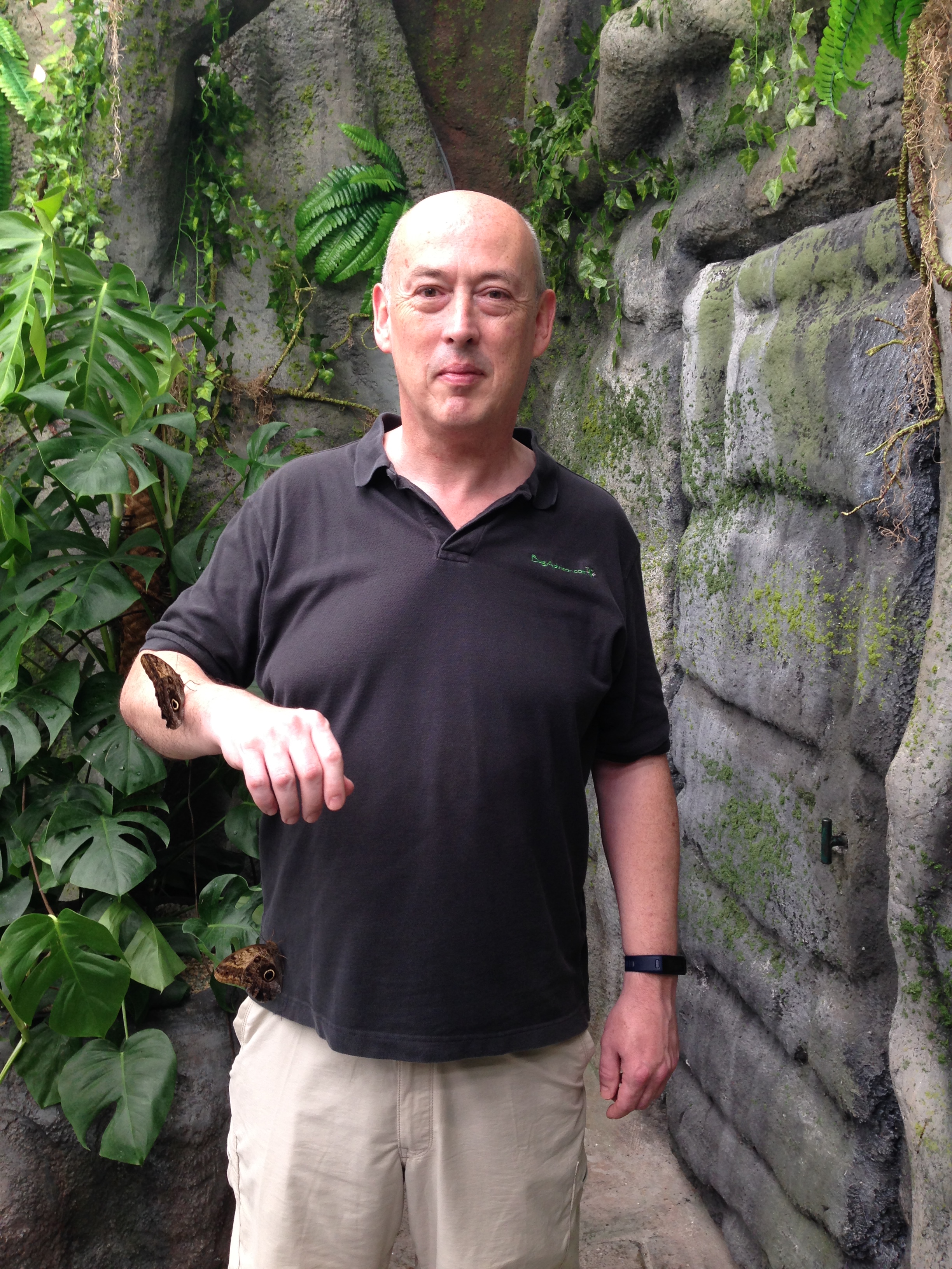 Papilonia Butterfly House, Prague, Czech Republic – The Prague Review
