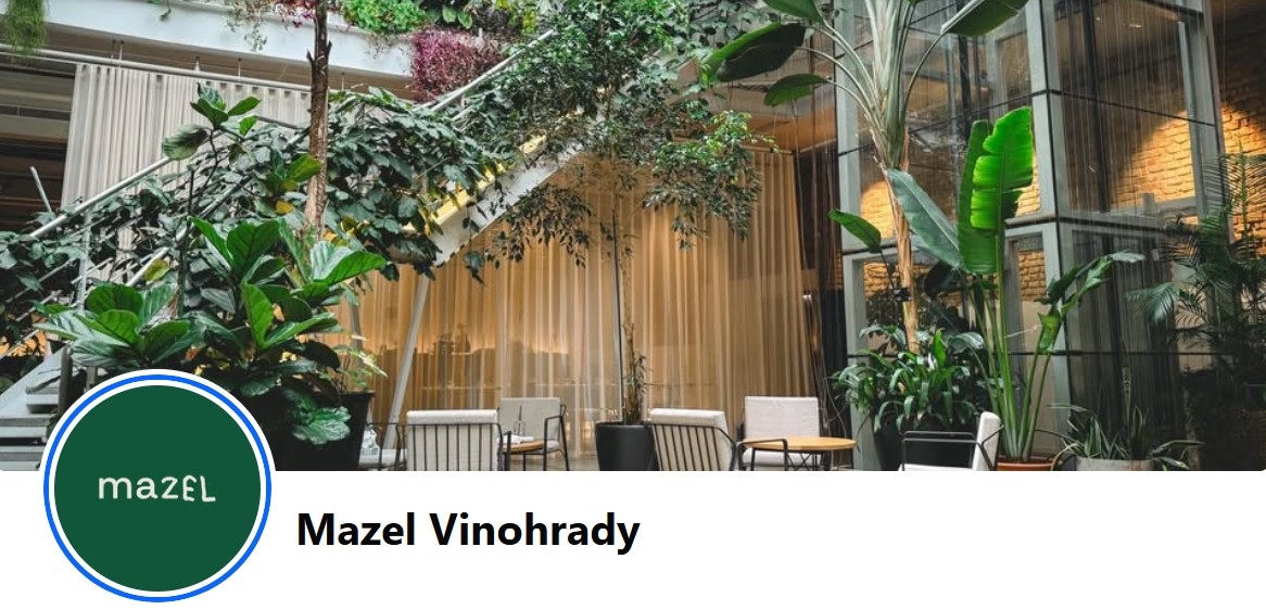 Mazel, Vinohrady, Prague – The Prague Review